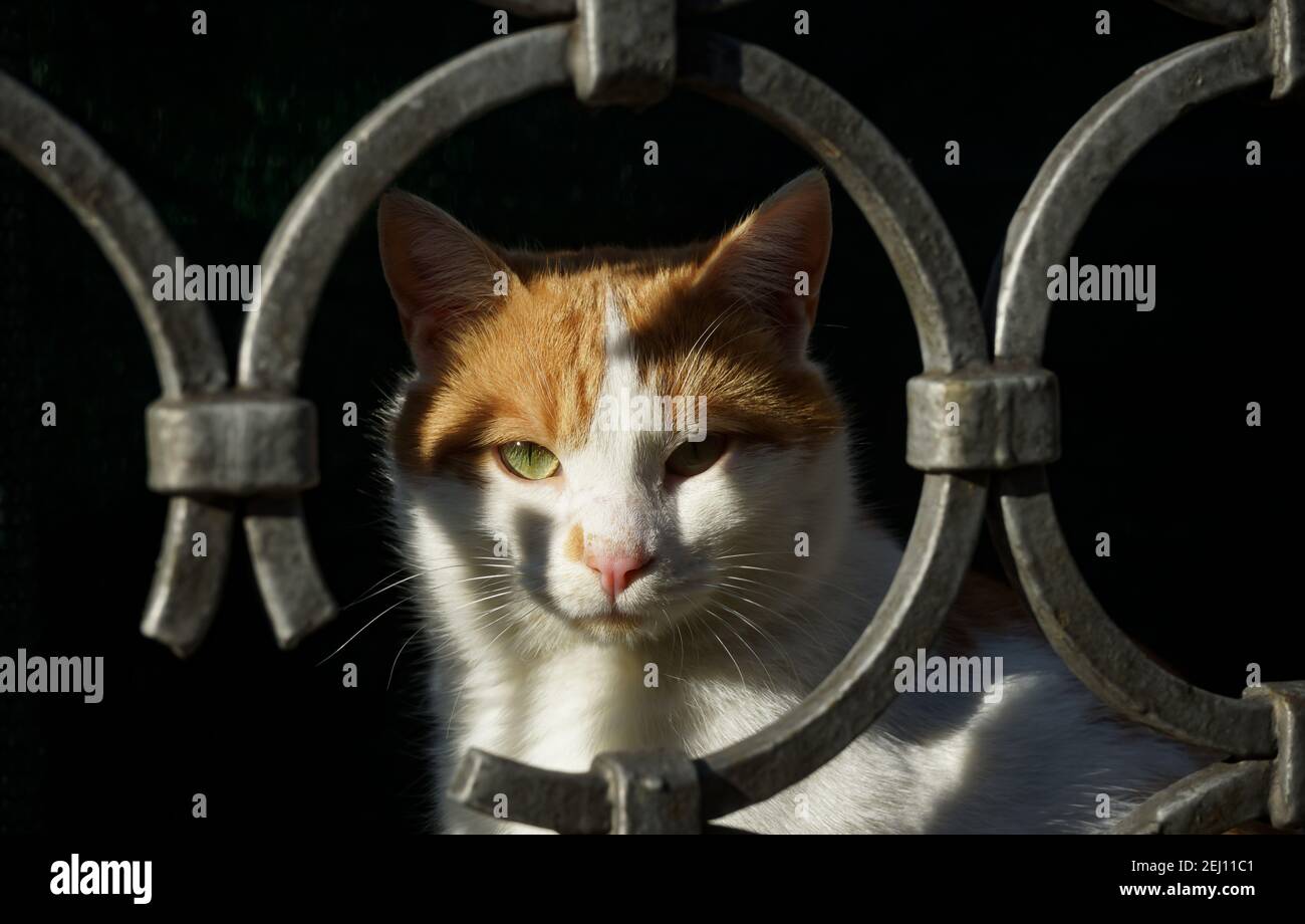 Lovable city hi-res stock photography and images - Alamy