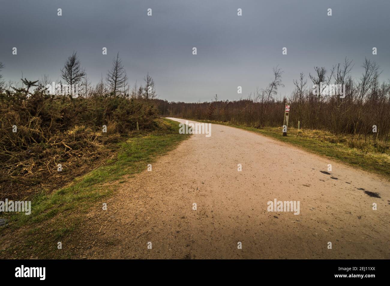 walk around national forest in england, city moira ,hicks lodge Stock ...
