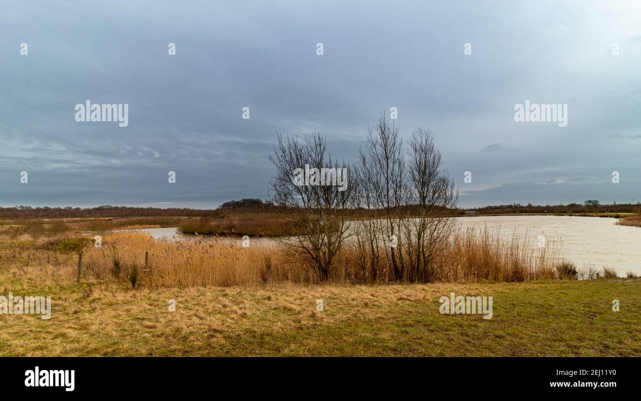 walk around national forest in england, city moira ,hicks lodge Stock ...