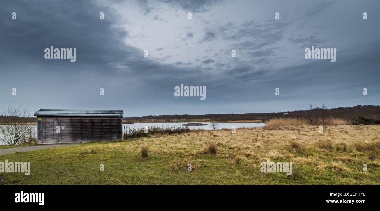 walk around national forest in england, city moira ,hicks lodge park ...