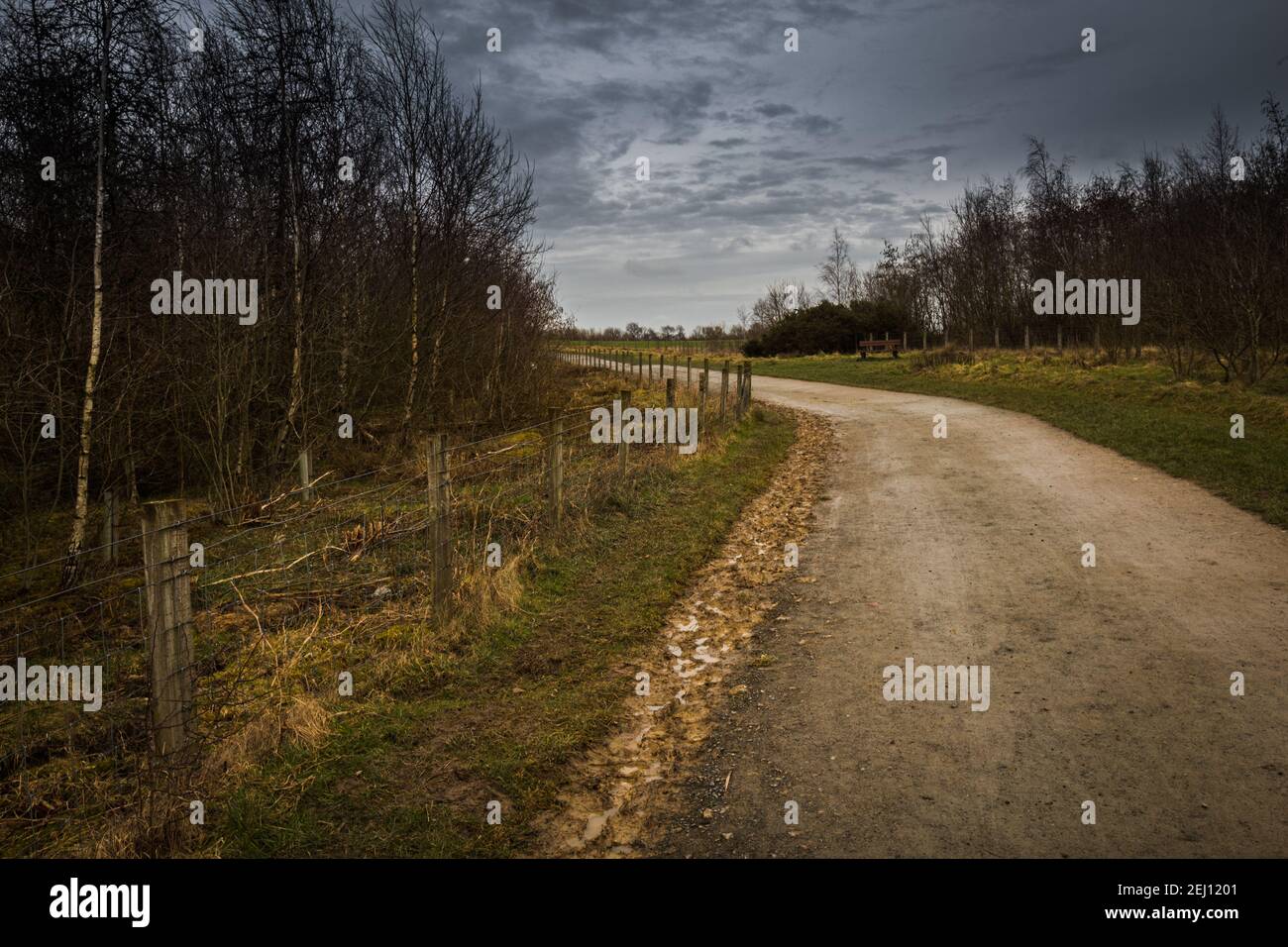 walk around national forest in england, city moira ,hicks lodge Stock ...