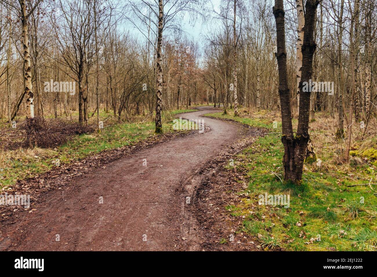 walk around national forest in england, city moira ,hicks lodge Stock ...