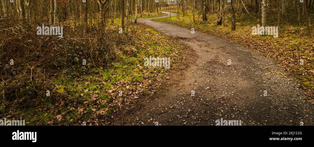 walk around national forest in england, city moira ,hicks lodge Stock ...