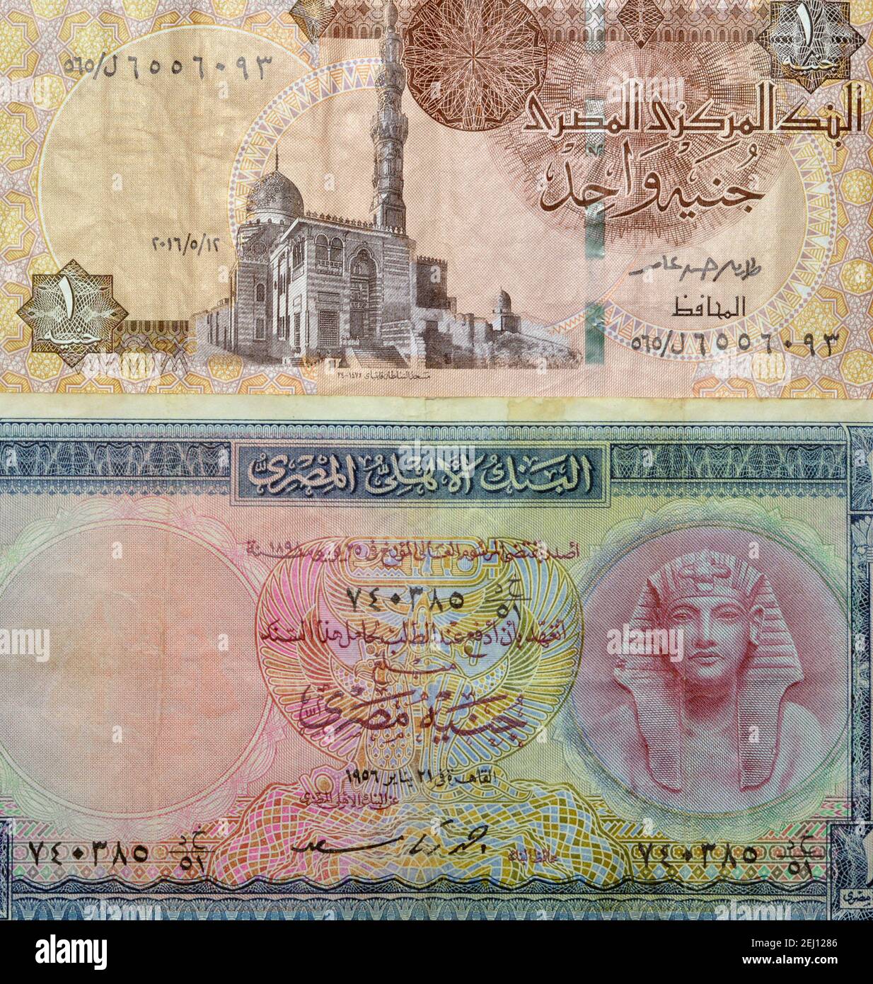 Egyptian one pound 1956 banknote and 2016 banknote . old Egyptian one ...