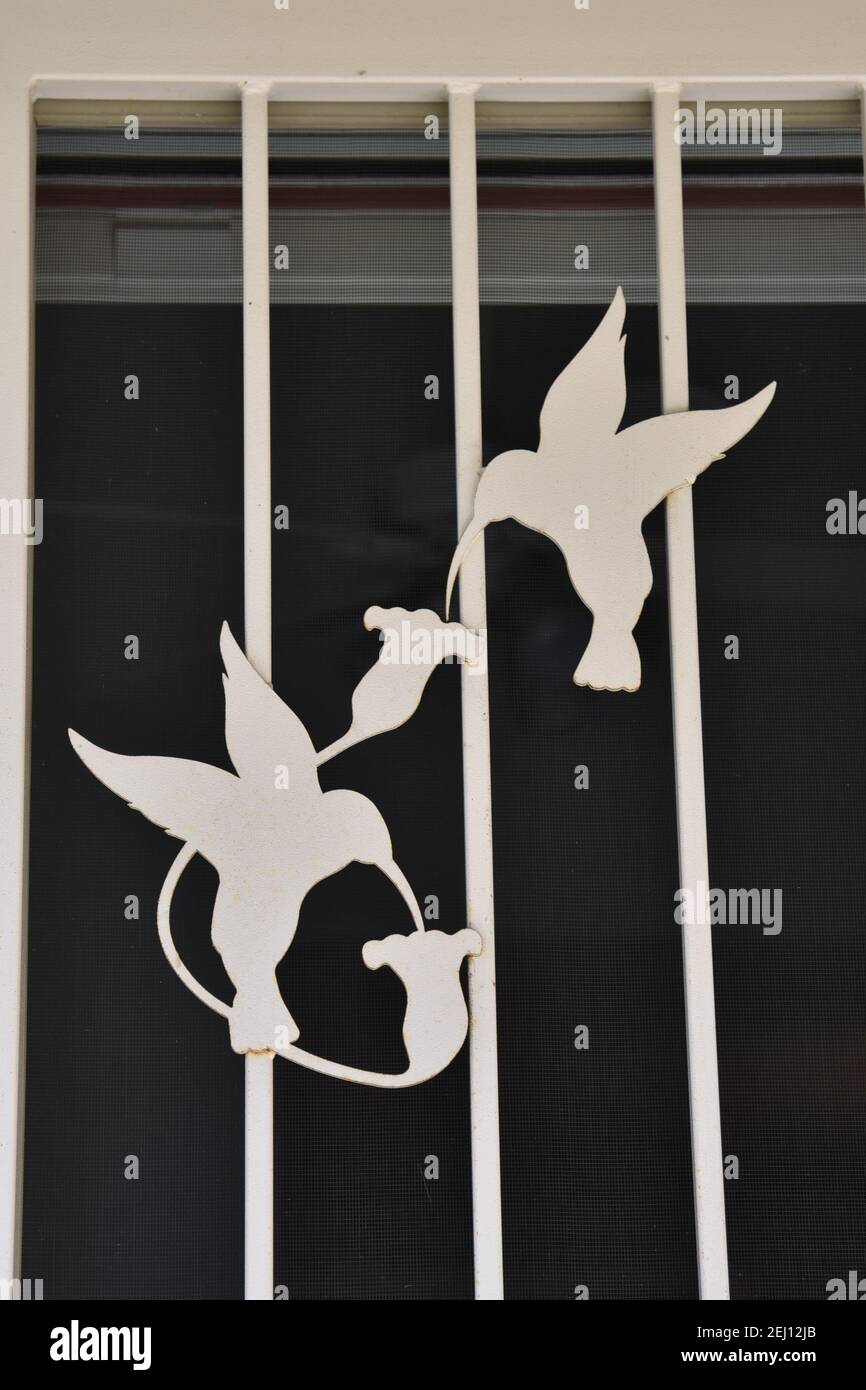 Metal hummingbird cutouts on a security door Stock Photo - Alamy