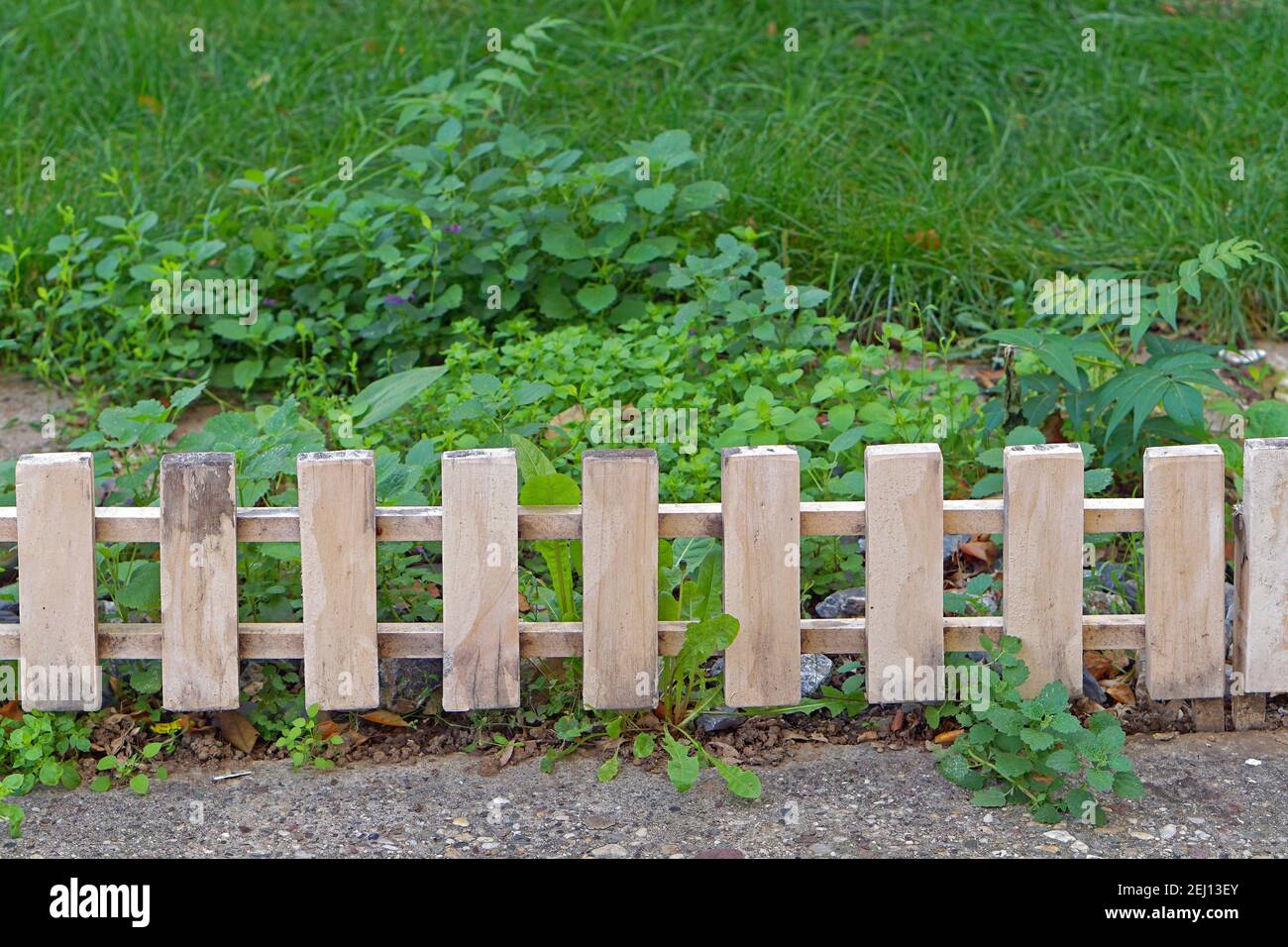 Short white wood fence at park border Stock Photo - Alamy