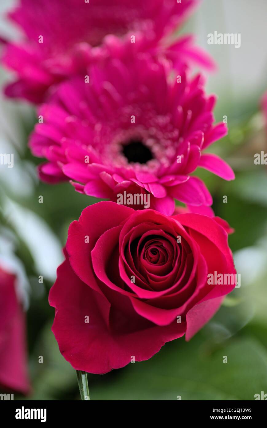 Very high resolution vertical hi-res stock photography and images - Alamy