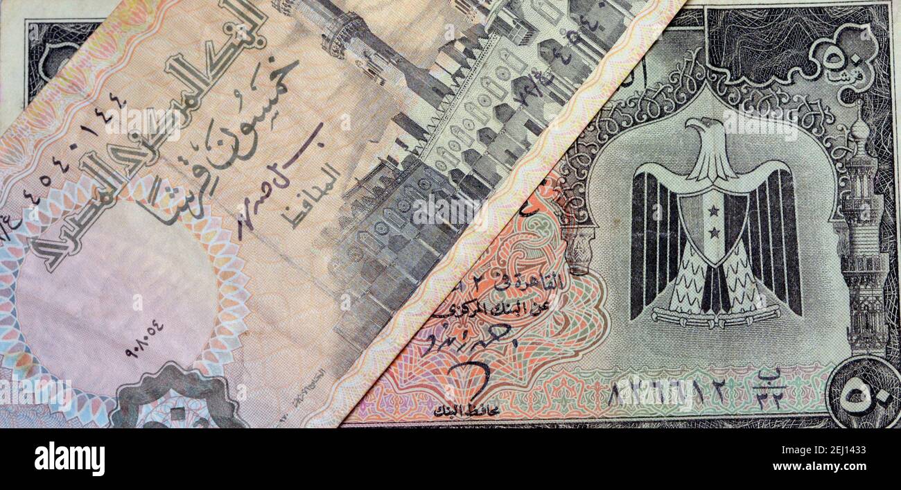 Egyptian 50 piasters banknotes collection, half a pound Egyptian money ...