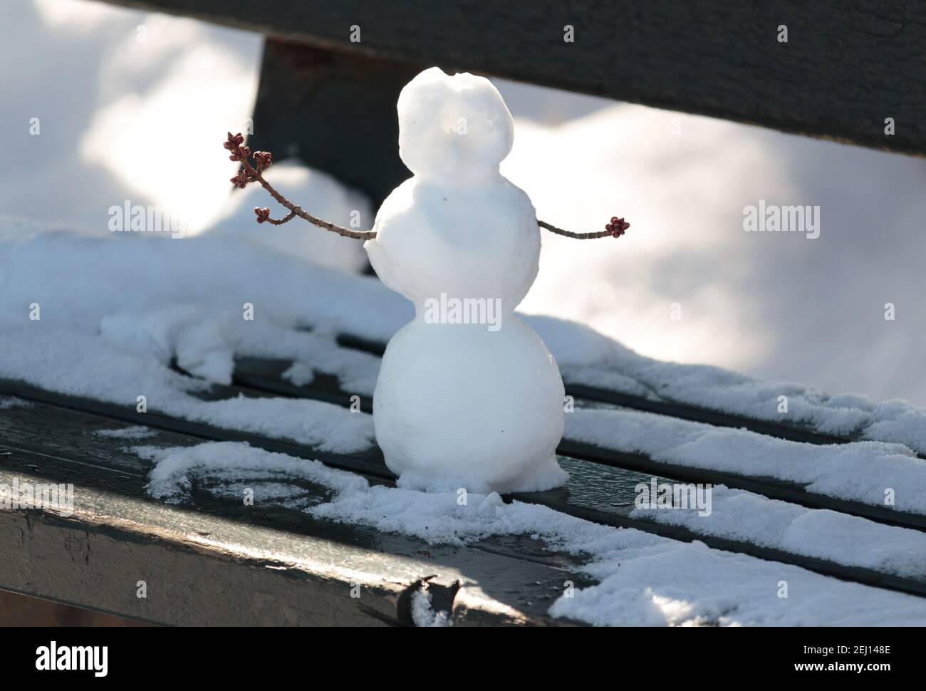 a tiny snowman built on a park bench with twigs for arms surrounded by ...