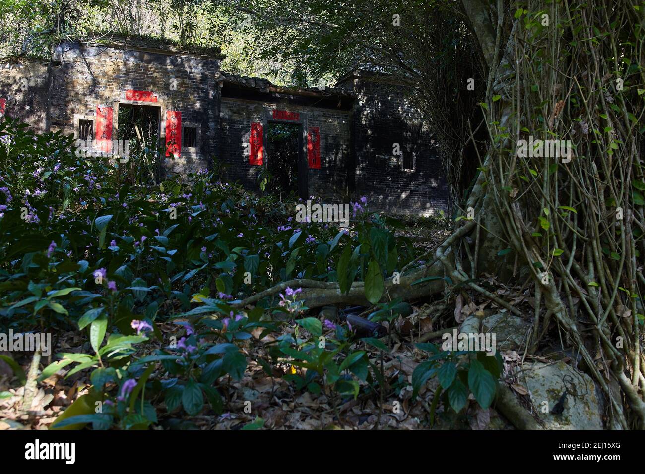So Lo Pun abandoned village, Plover Cove Country Park, New Territories ...
