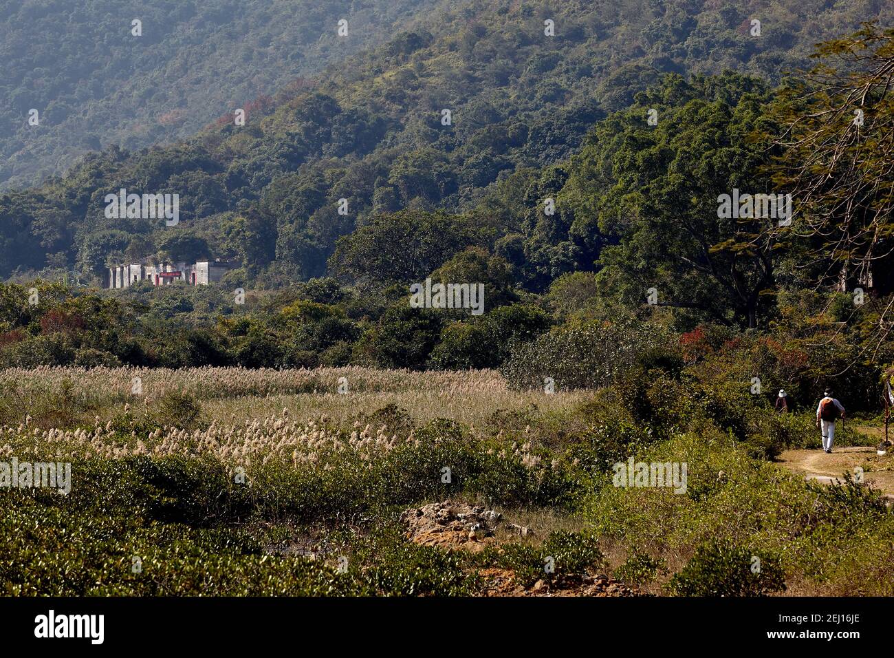 So Lo Pun abandoned village, Plover Cove Country Park, New Territories ...
