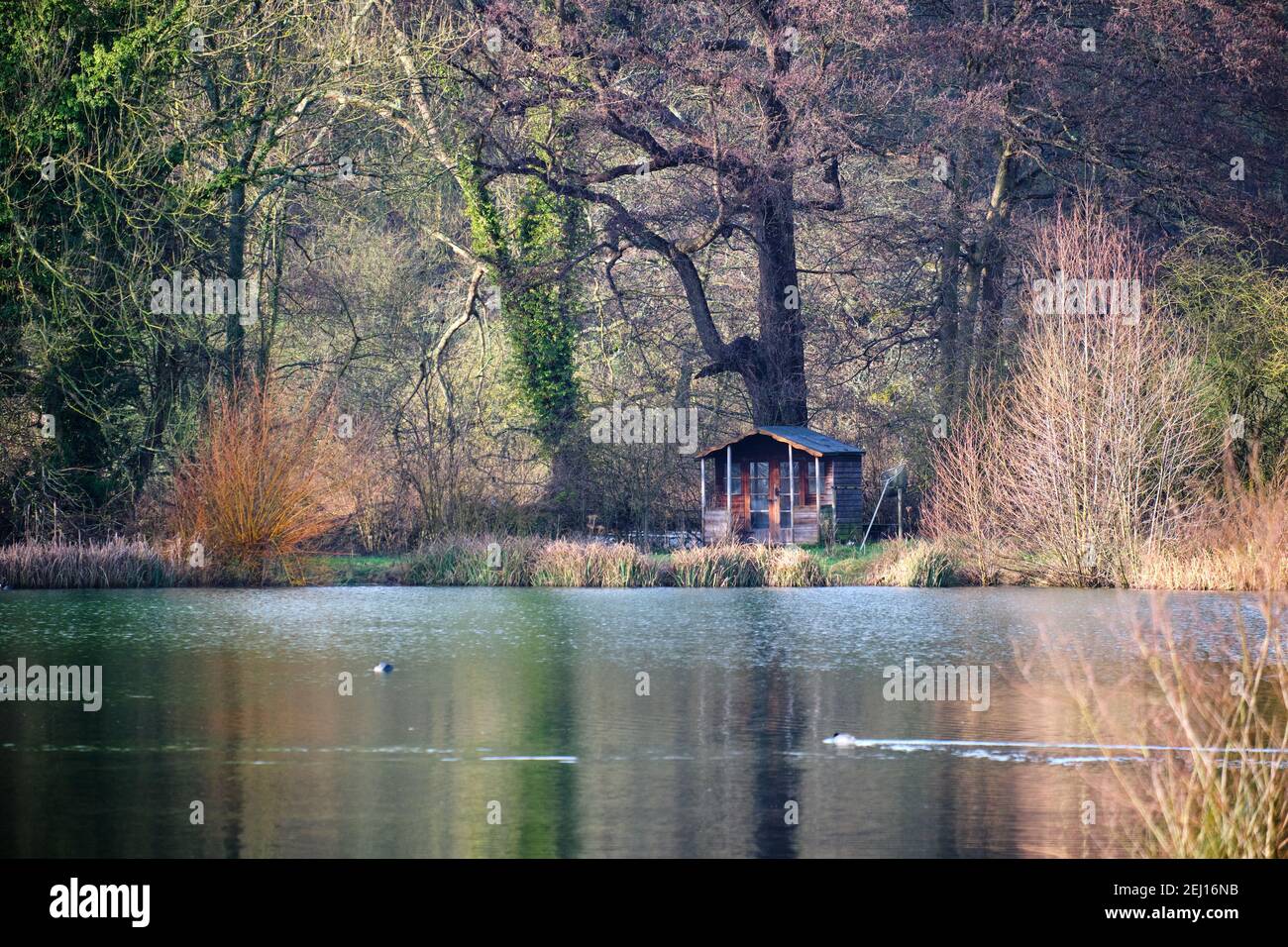 Cabin by the river with glimmering light! Stock Photo - Alamy