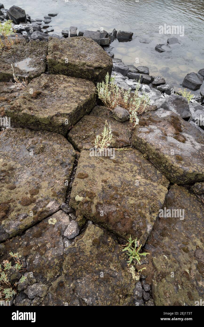 Columnar basalt formation along the shore of the Lower Salmon River ...