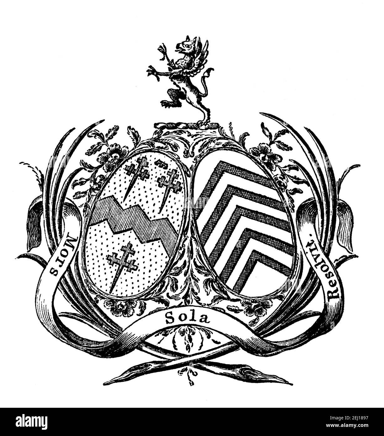 Death latin Cut Out Stock Images & Pictures - Alamy