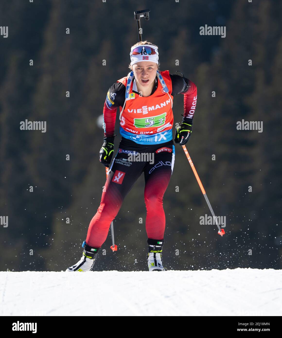Pokljuka, Slovenia. 20th Feb, 2021. Biathlon: World Cup/World ...