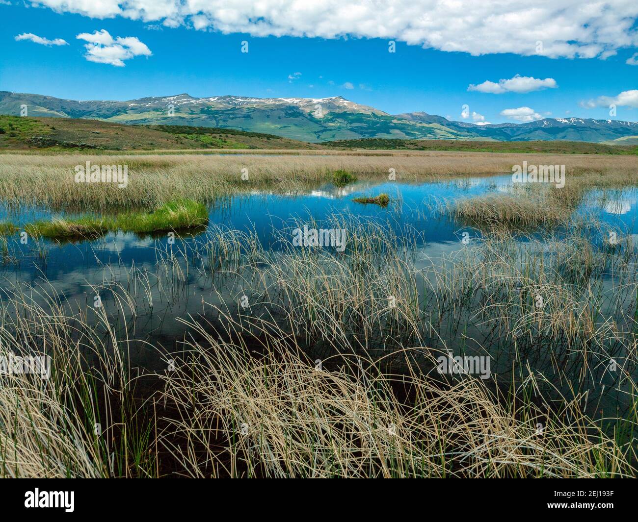 Scenic wilderness in Torres Del Paine National Park in Patagonia ...
