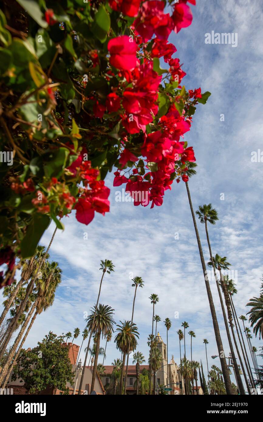 Daytime view of the historic skyline of downtown Riverside, California ...