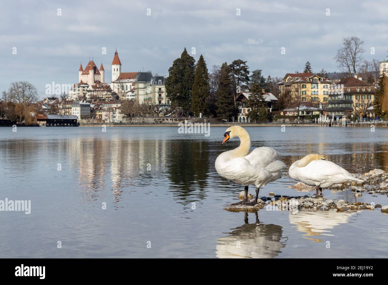 Swan castle hi-res stock photography and images - Alamy
