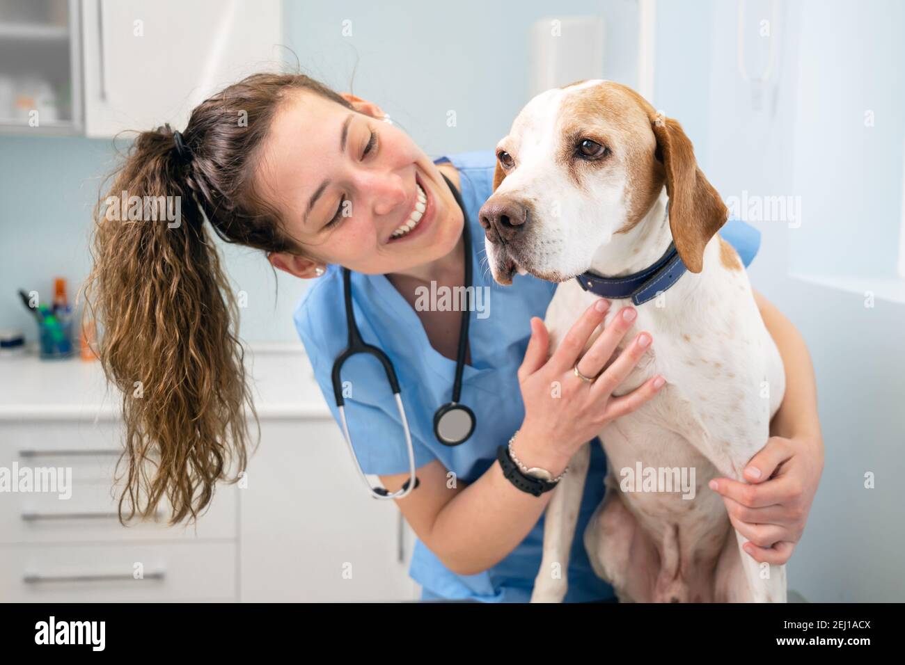 Young happy veterinary nurse smiling while playing with a dog. High ...