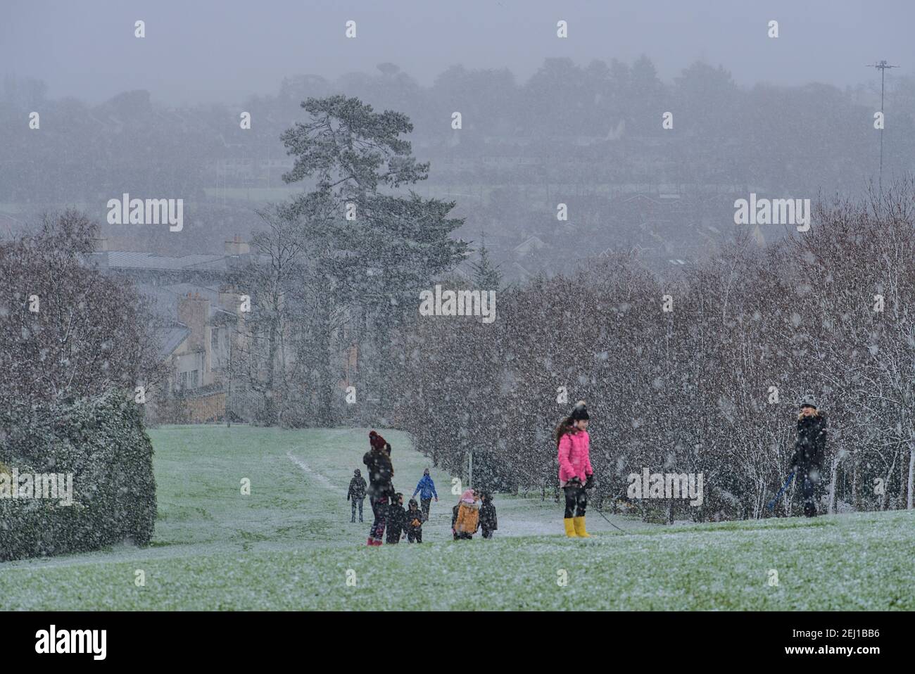 People enjoying heavy snowfall in the park in Ballinteer, Kingston ...