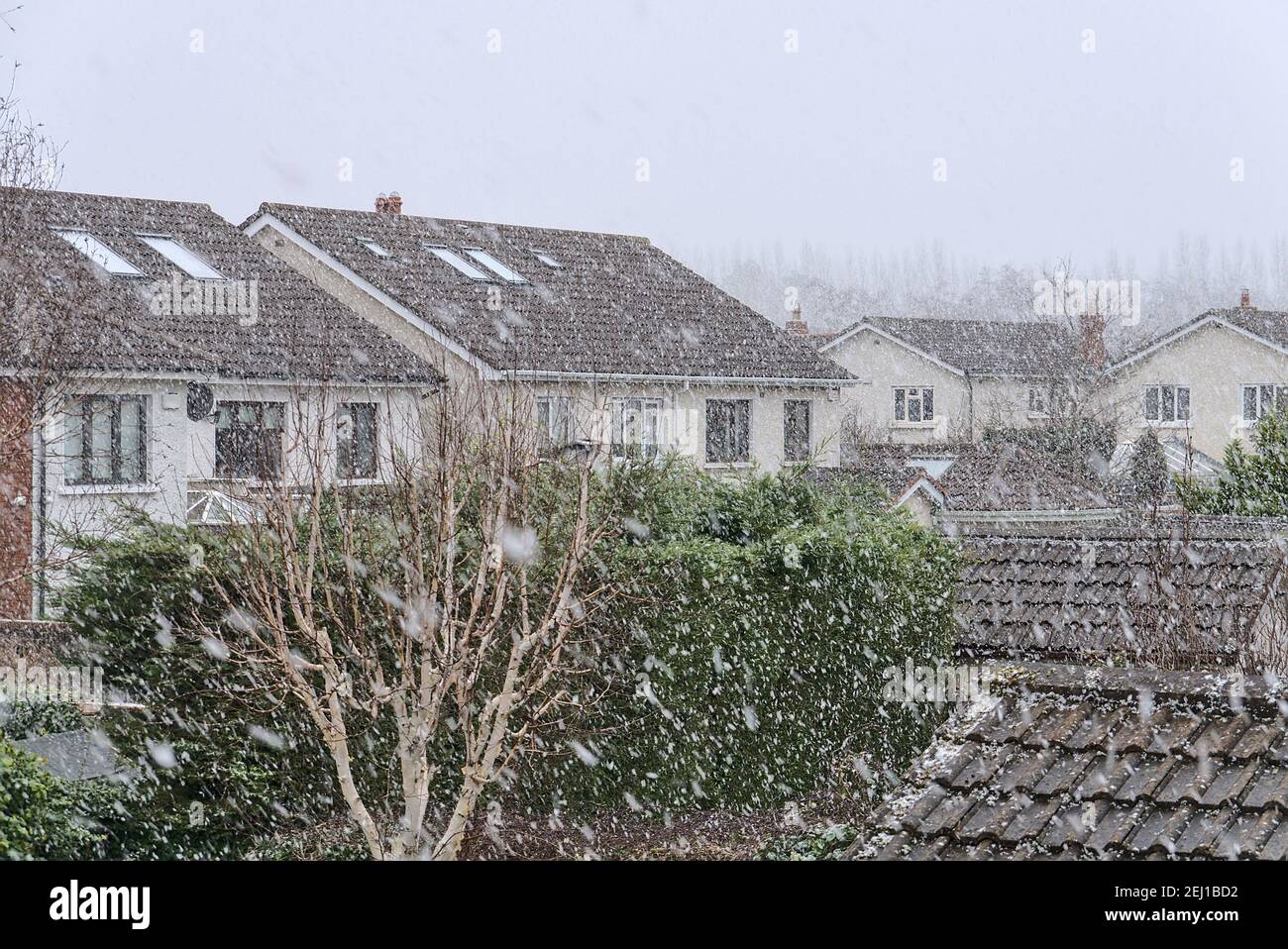 Beautiful heavy snowfall in Ballinteer,Southern Dublin, Ireland. Viewed ...