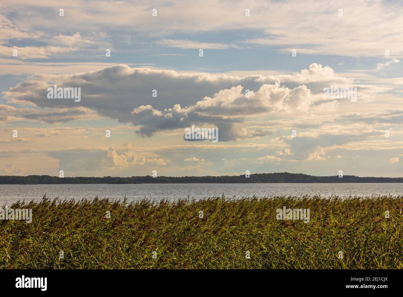 Beautiful Baltic sea view on sky with white clouds background ...