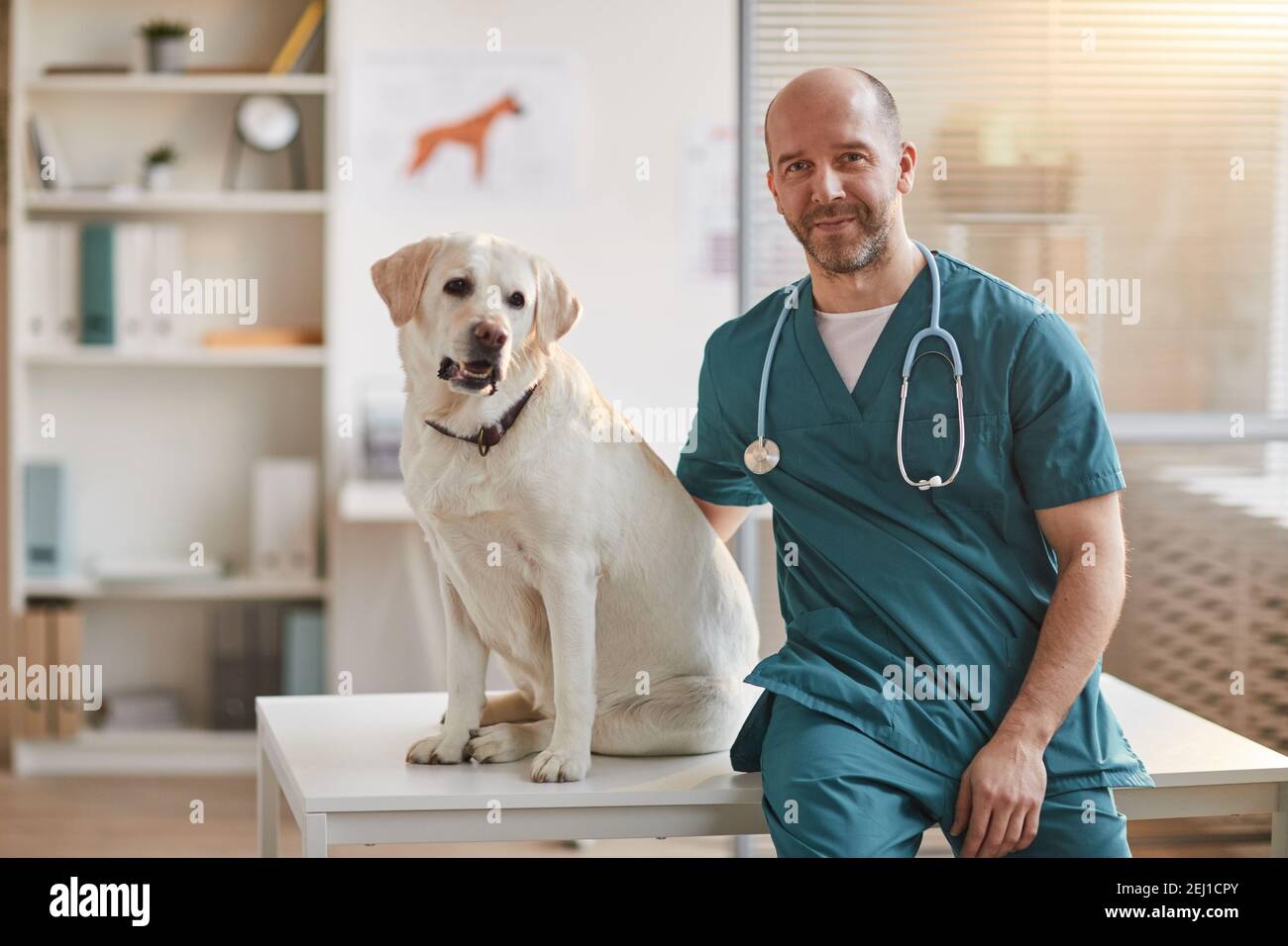 Portrait of mature male veterinarian smiling at camera while sitting on ...