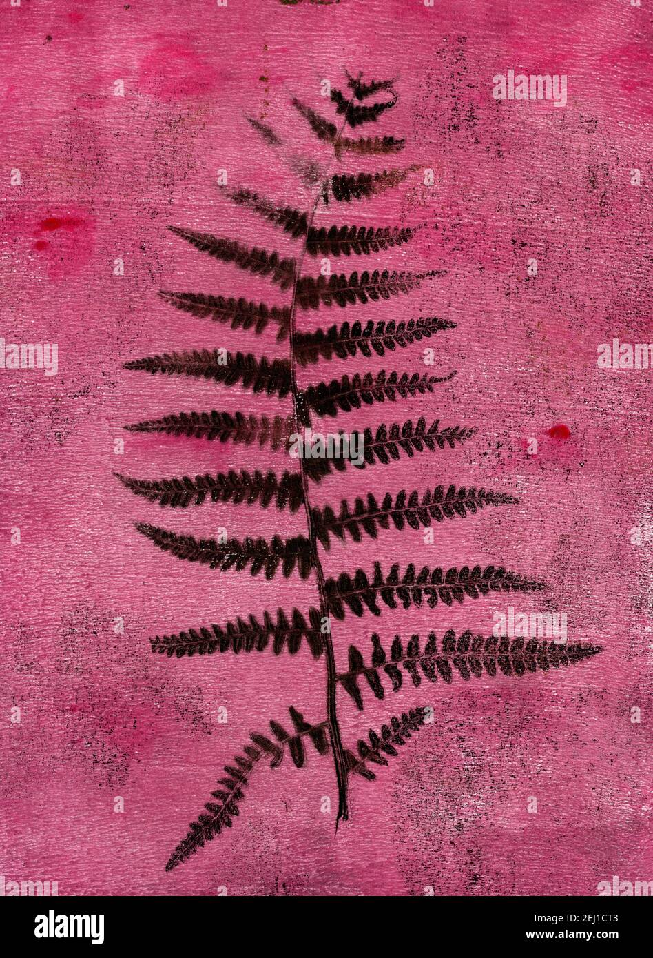 Raspberry Fern - photo from original artists monoprint Stock Photo - Alamy