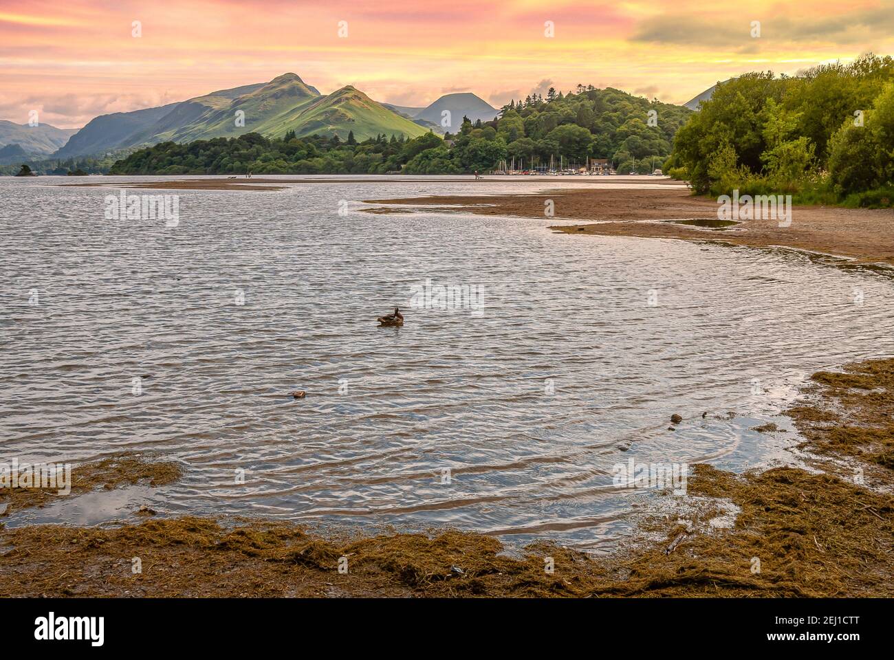 Landscape at Derwent Water, one of the main lakes in the Lake District ...
