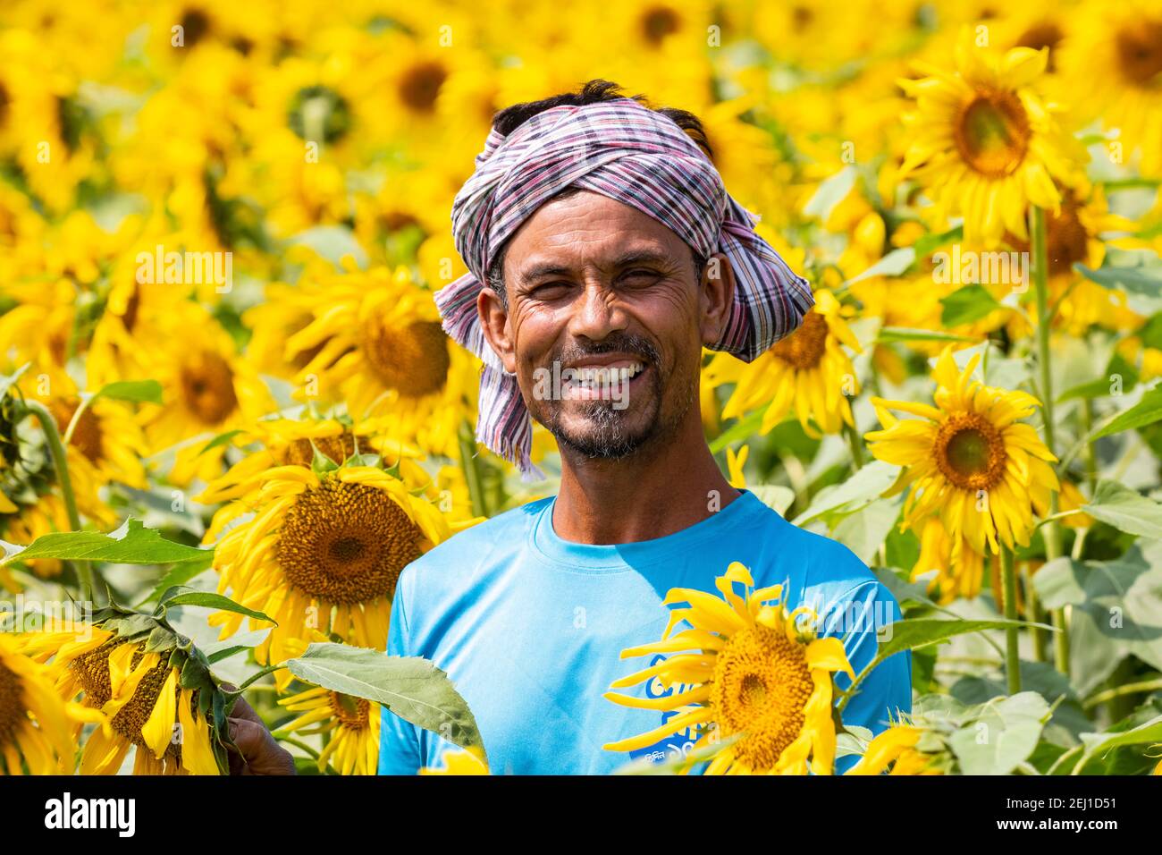 Smiling farmer hi-res stock photography and images - Alamy