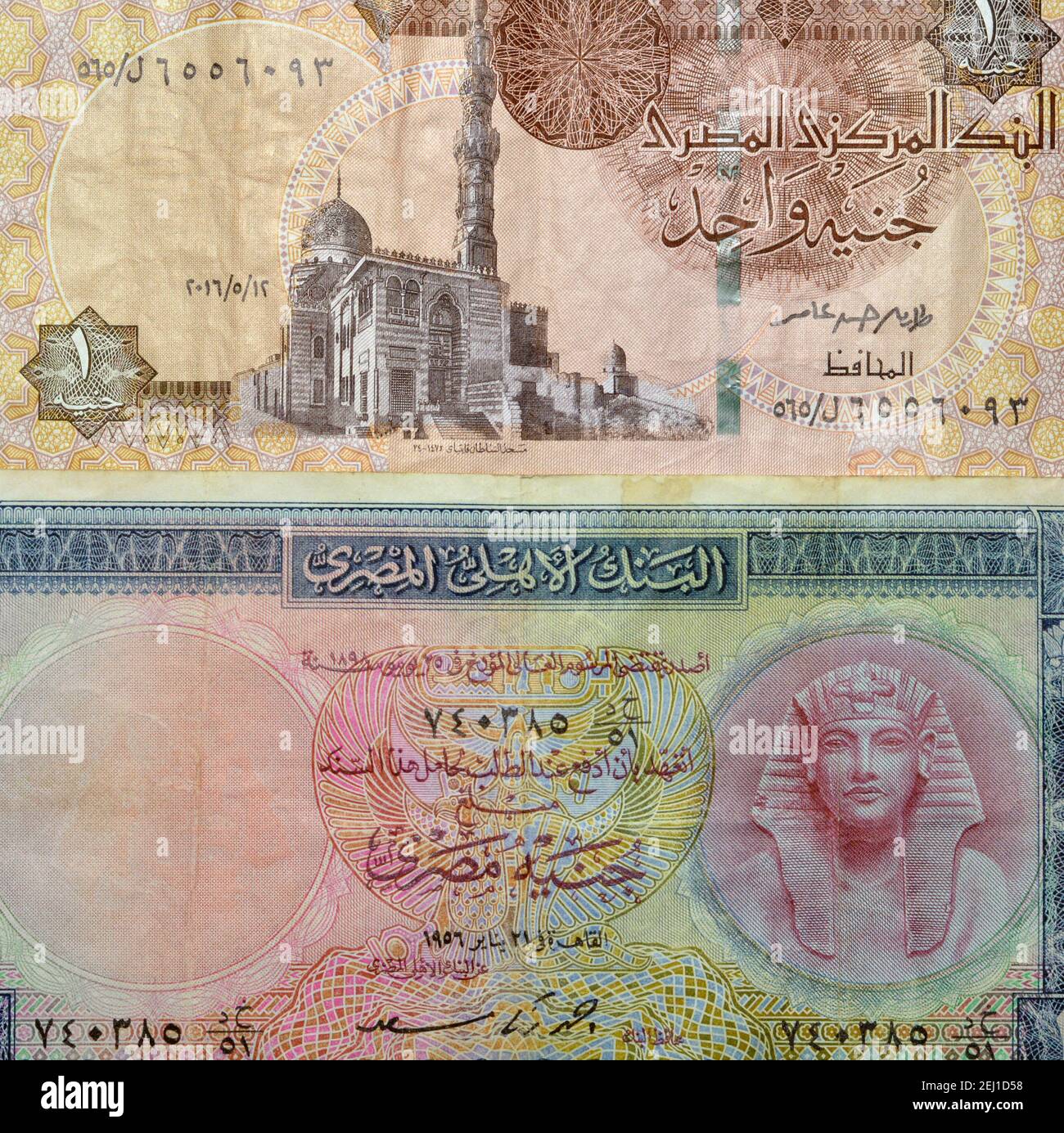 Egyptian one pound 1956 banknote and 2016 banknote . old Egyptian one ...