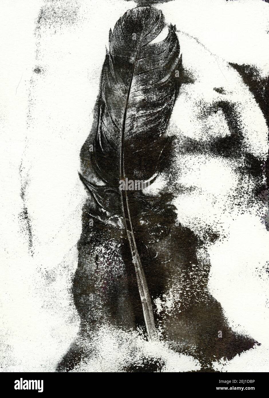 Steel Feather - photo from original artists monoprint Stock Photo - Alamy