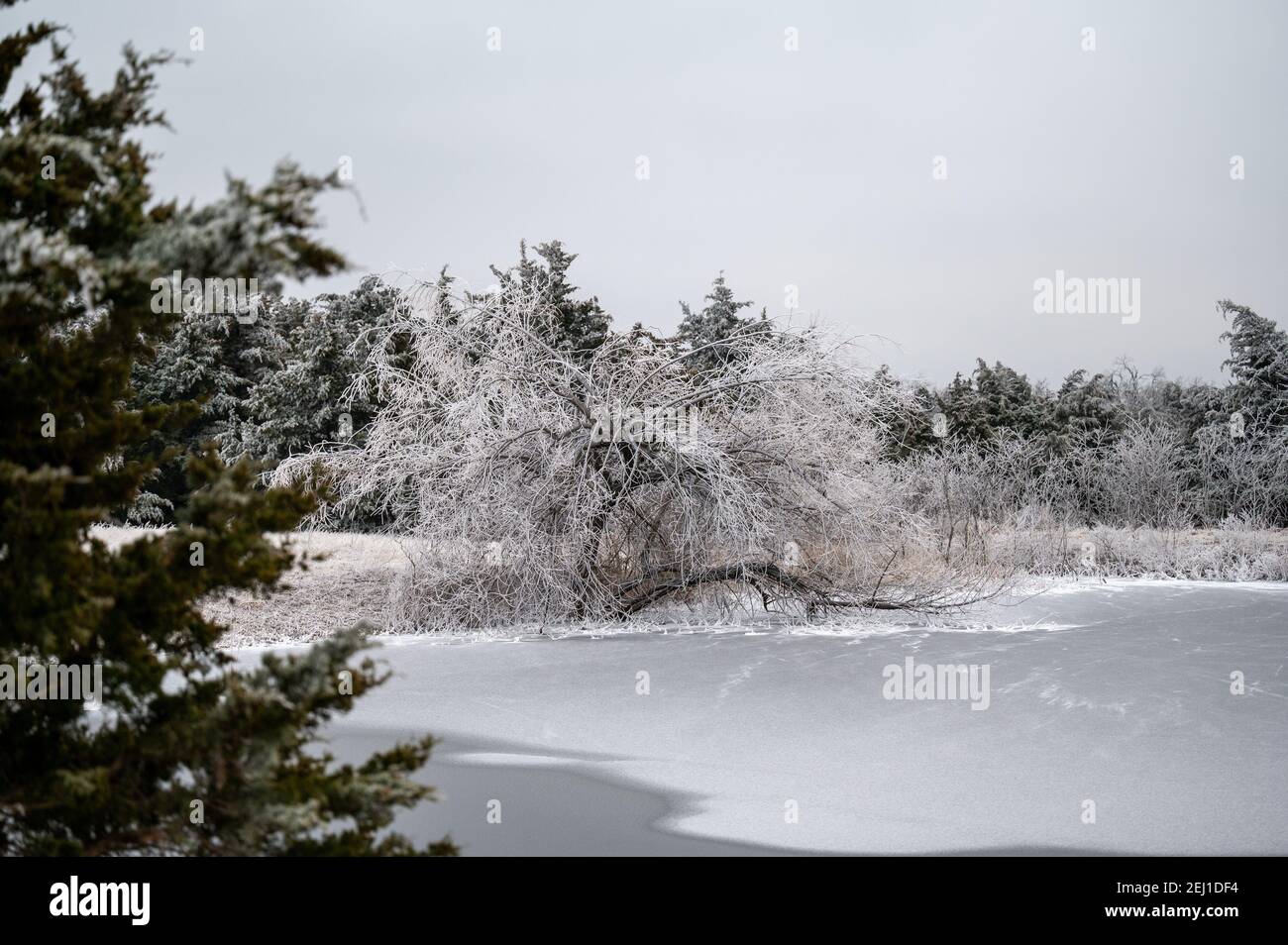Ice cracking pond hi-res stock photography and images - Alamy