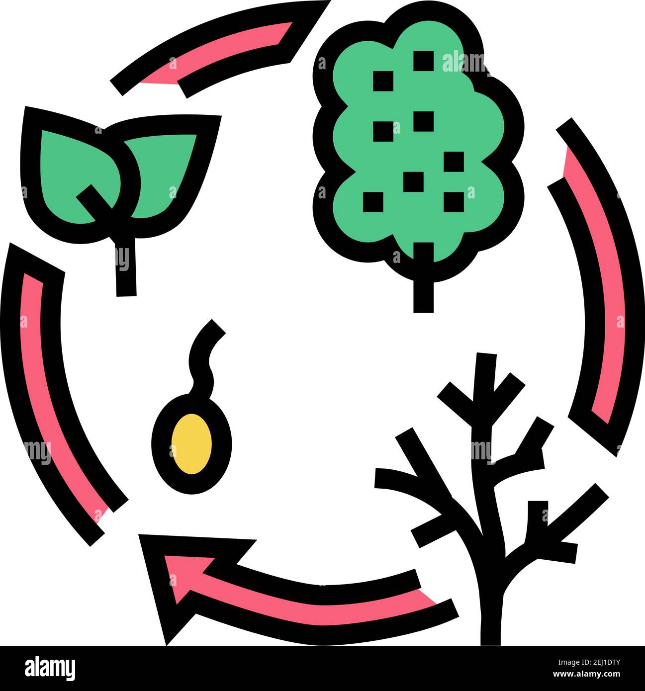 life cycle color icon vector illustration Stock Vector Image & Art - Alamy