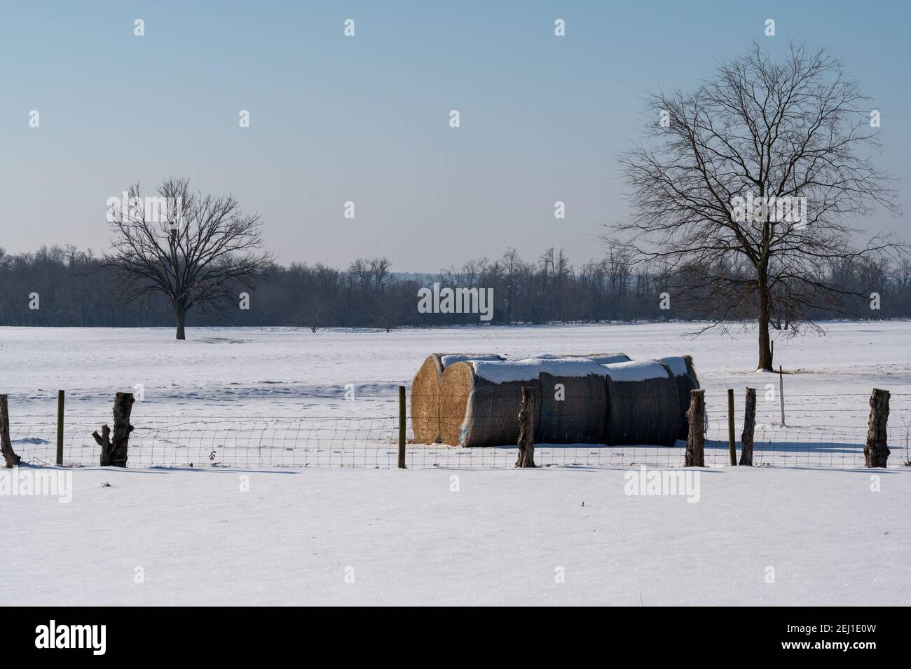 Snow covered hay bales Stock Photo - Alamy
