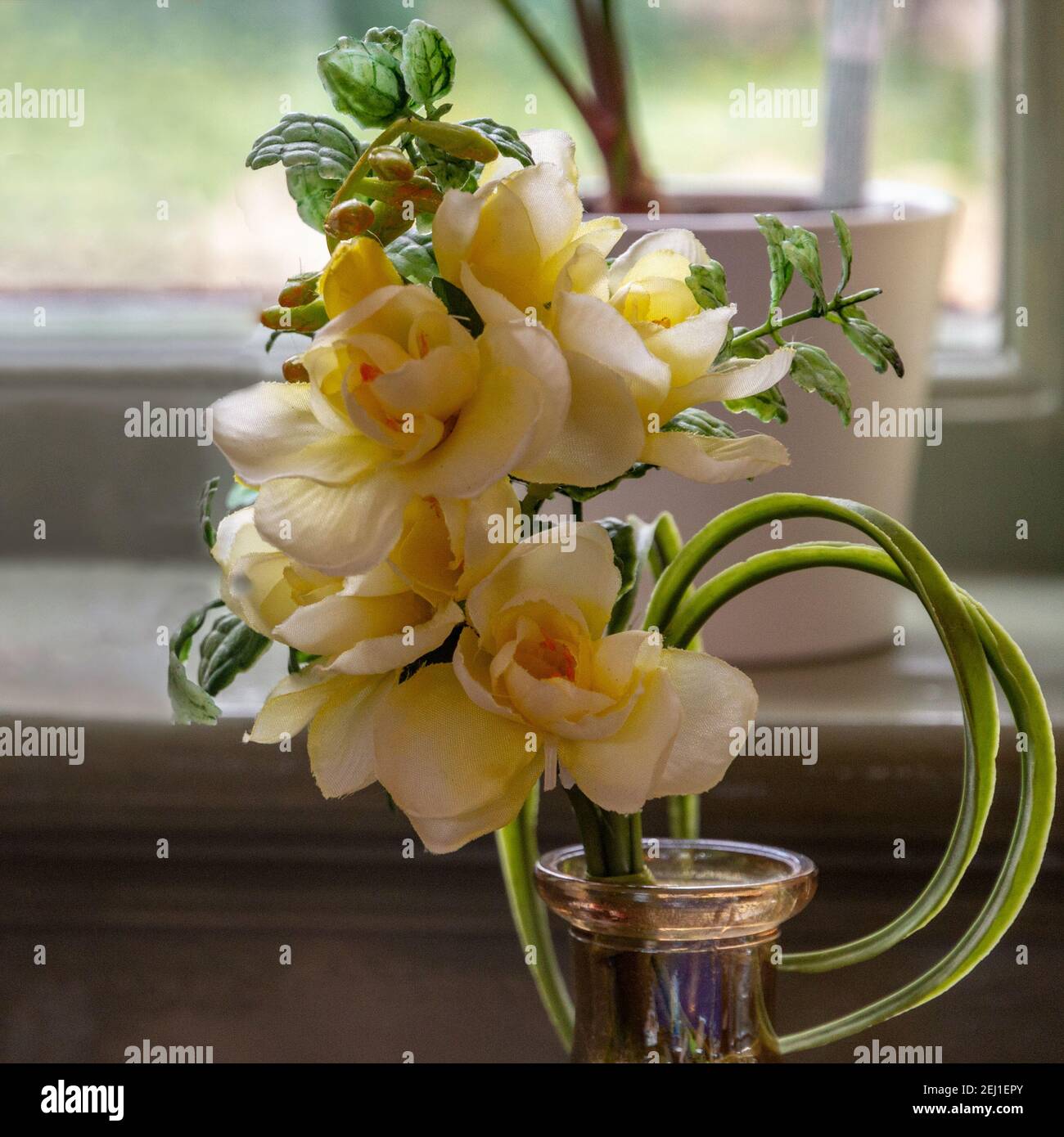 Cafe vase hi-res stock photography and images - Alamy
