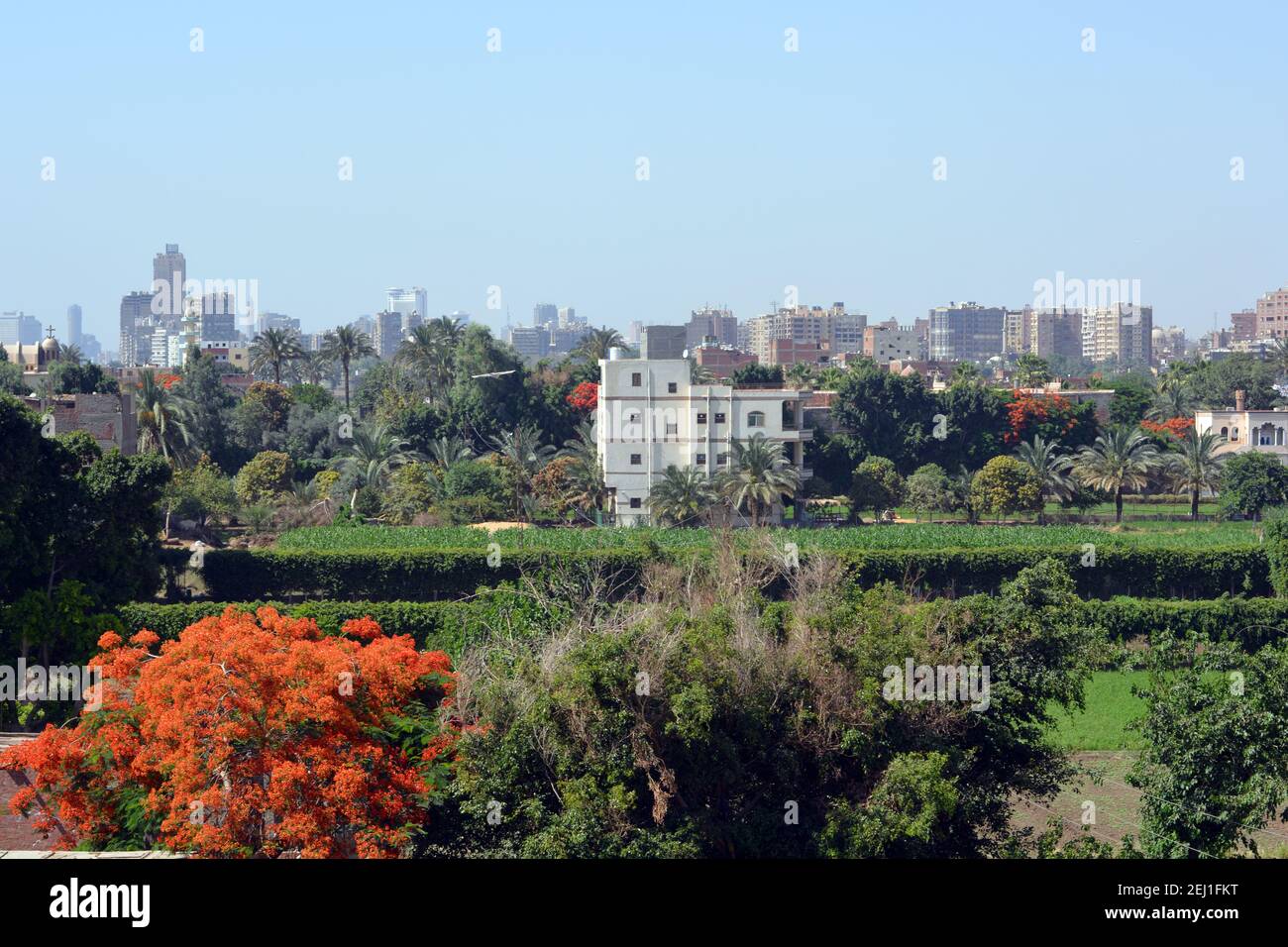 Dahab Island the gold island of the Nile in Giza Egypt near Cairo ...