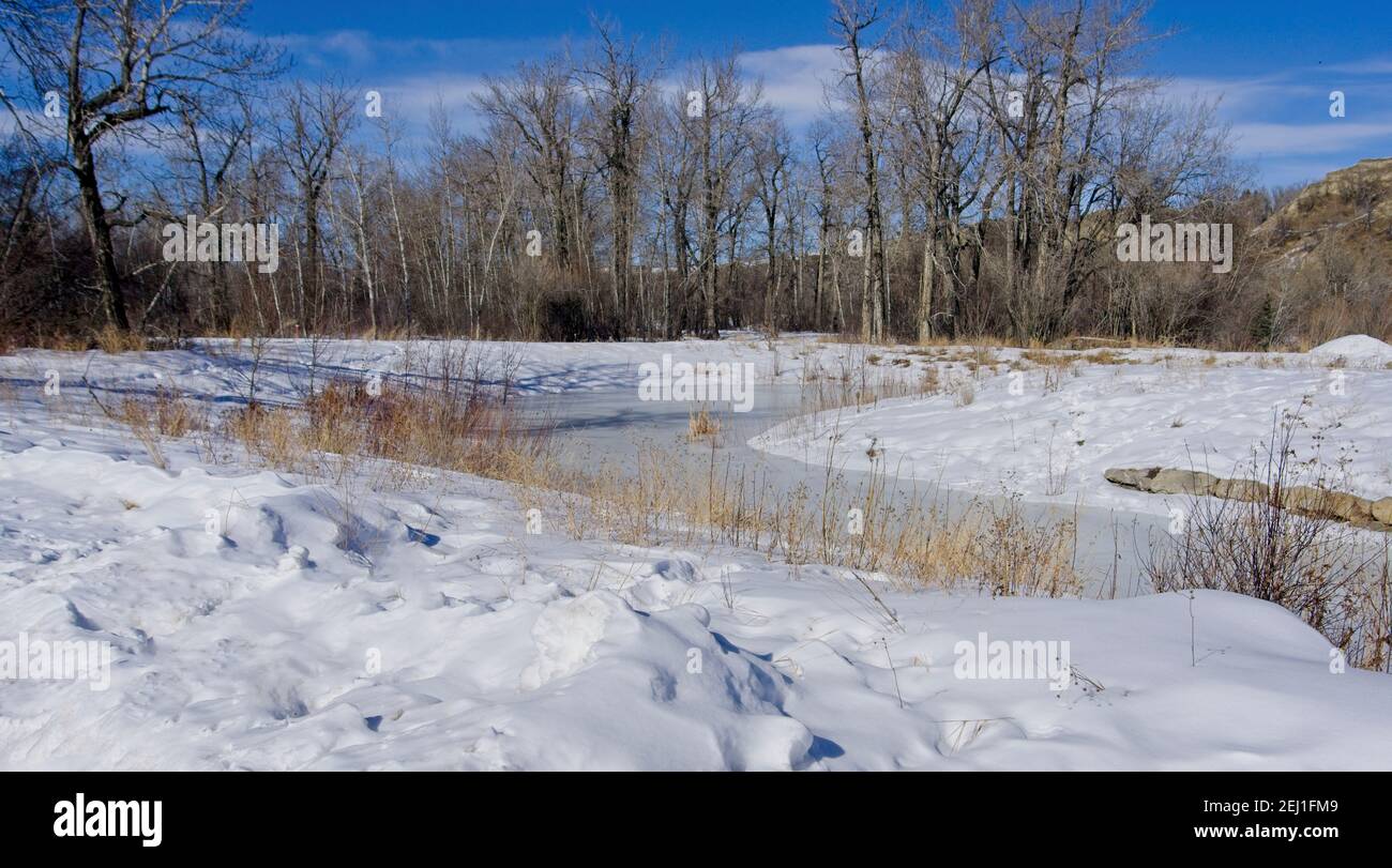 Calgary river valley hi-res stock photography and images - Alamy