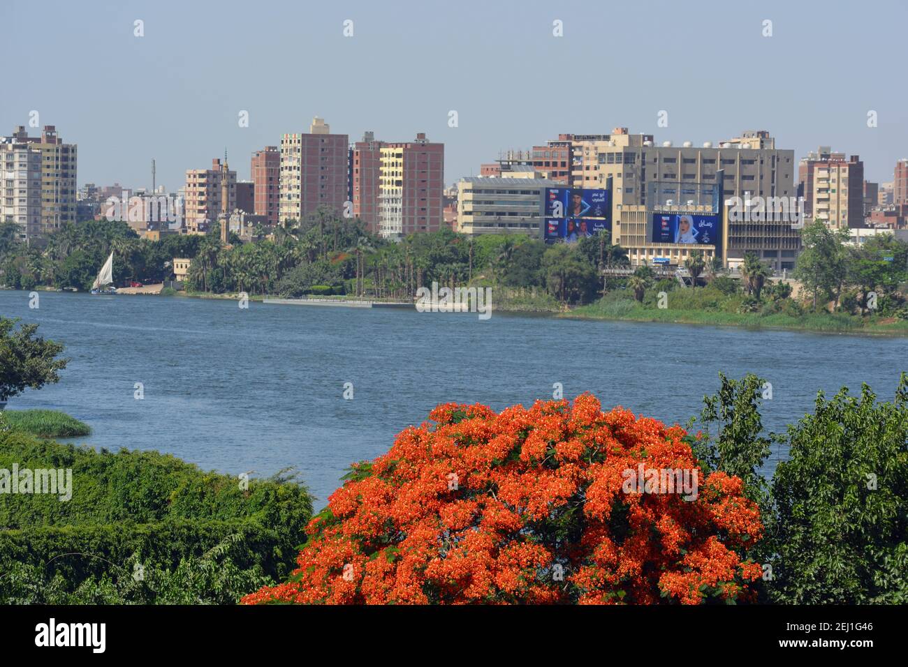 Dahab Island the gold island of the Nile in Giza Egypt near Cairo ...
