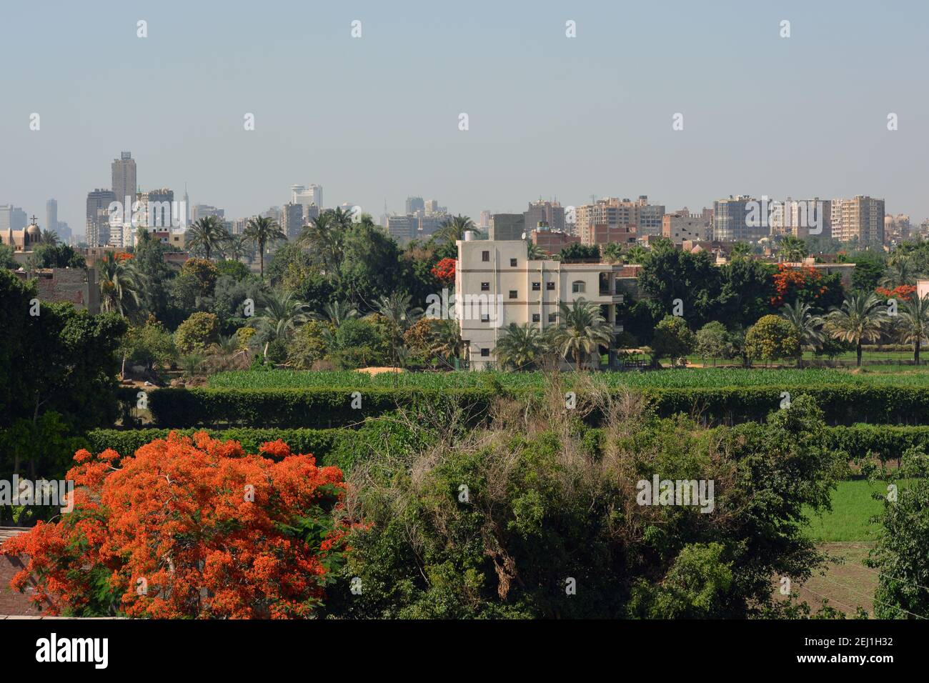 Golden island cairo hi-res stock photography and images - Alamy