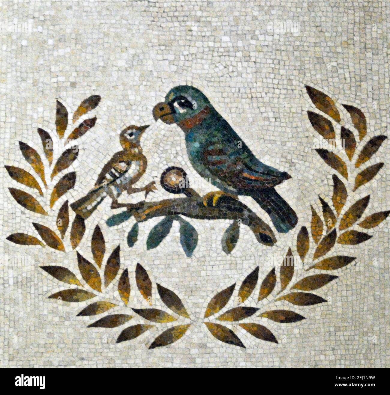 Tessellation mosaic hi-res stock photography and images - Alamy