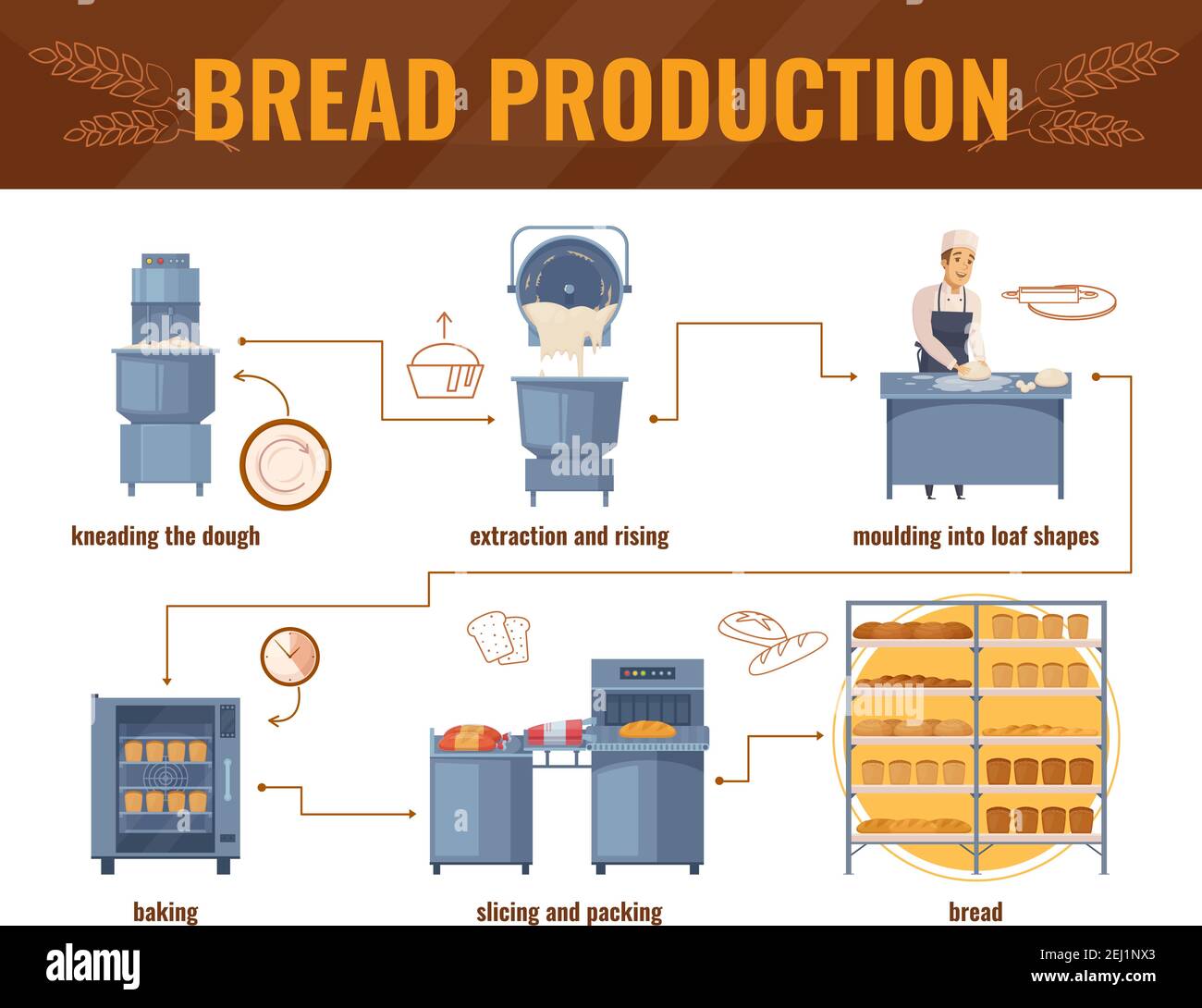 Bread production cartoon infographics with processing line from ...