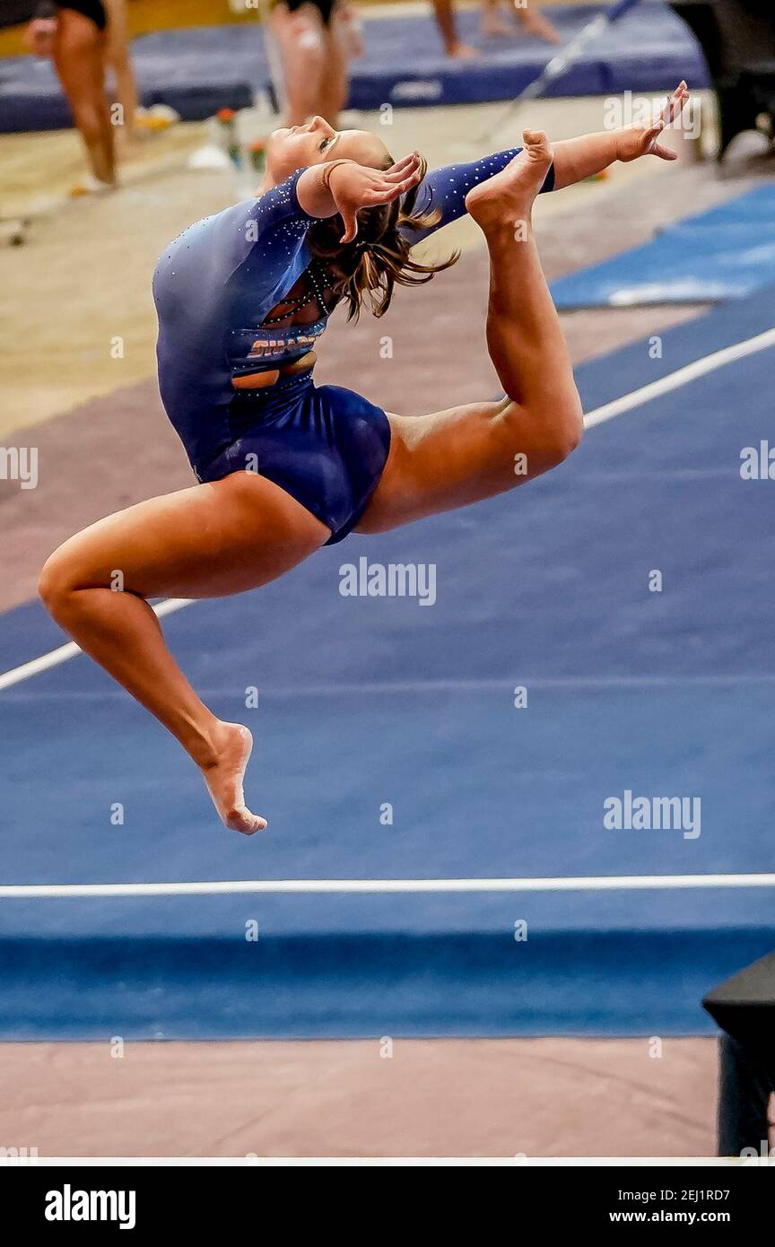 February 20, 2021, Towson, MD, USA: February 19, 2021: Long IslandÕs ...