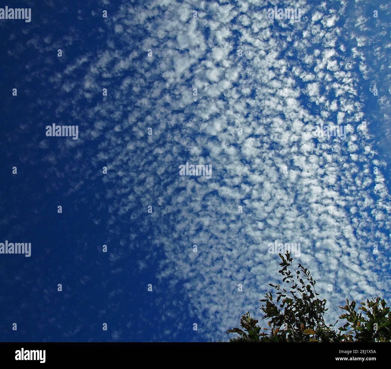 clouds over San Francisco Bay Area, California Stock Photo - Alamy