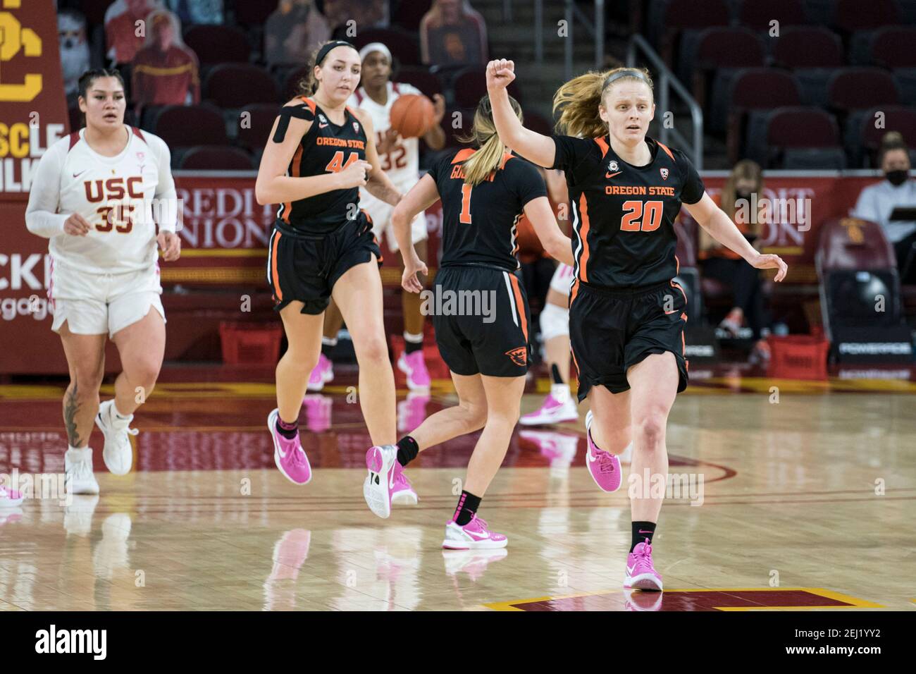 Beavers hi-res stock photography and images - Alamy