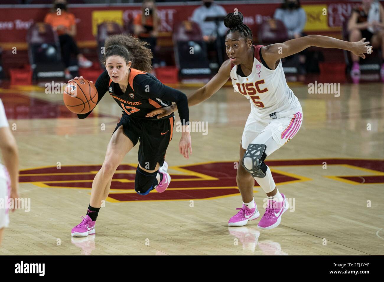 Beavers of california hi-res stock photography and images - Alamy