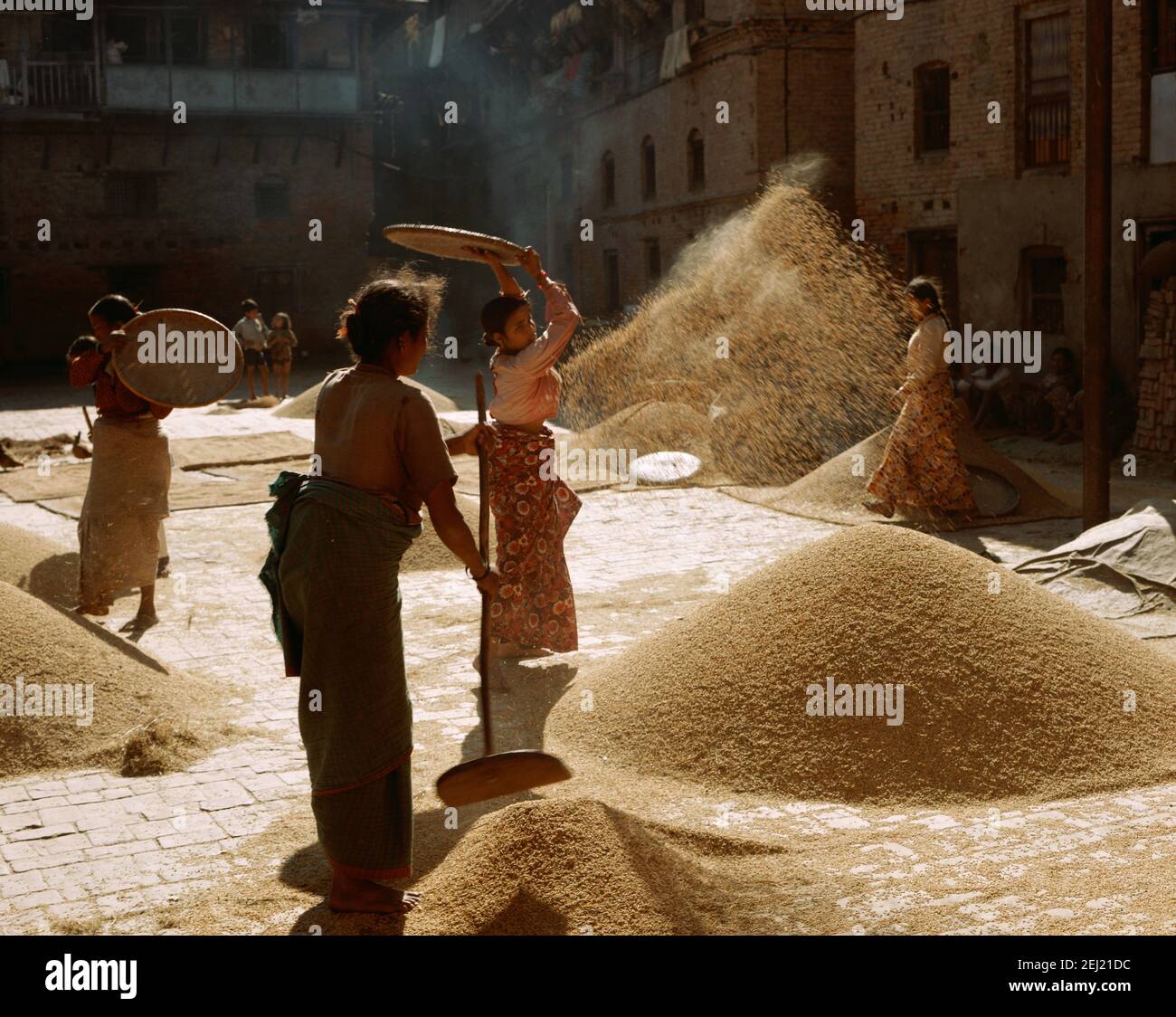 asia,Nepal, Bhaktapur, Local Women, Rice Winnowing Stock Photo - Alamy