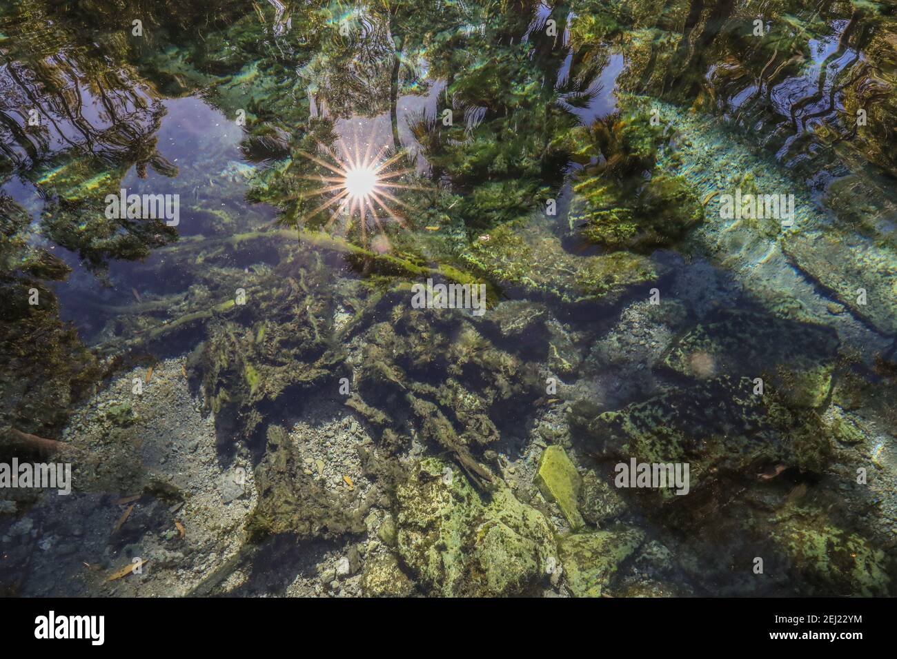 Bitter springs hi-res stock photography and images - Alamy