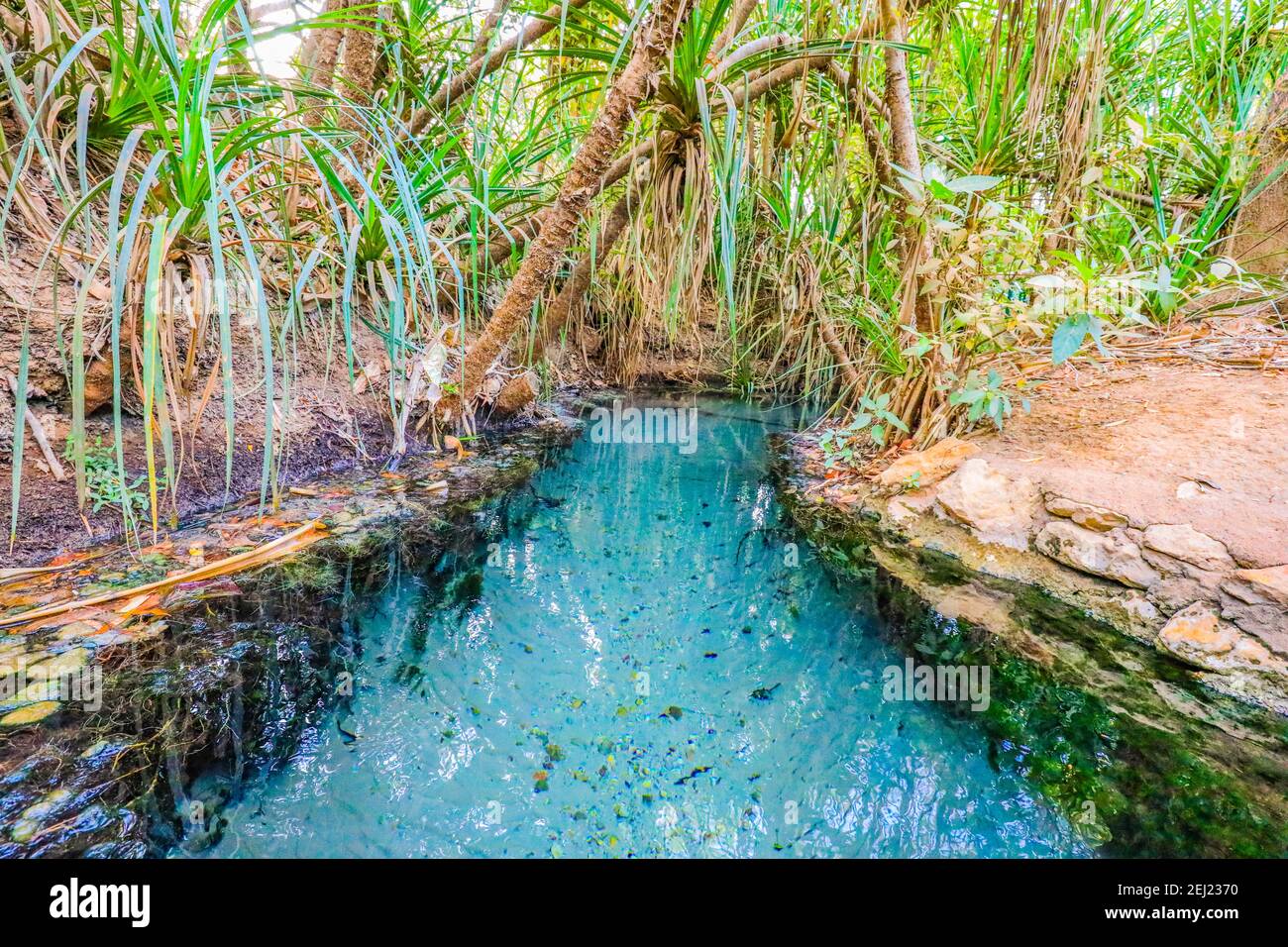 Water flowing through Katherine Hot Springs thermal pool Stock Photo ...