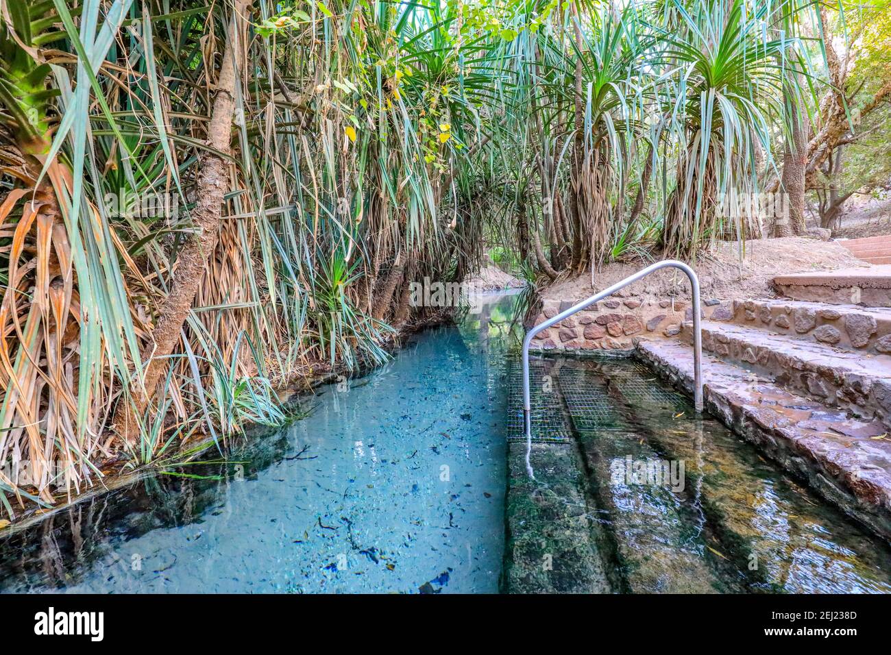 Water flowing through Katherine Hot Springs thermal pool Stock Photo ...